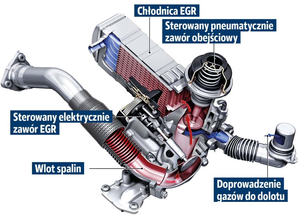 Systemy oczyszczania spalin - SCR, EGR, DPF i GPF - Magazyn auto