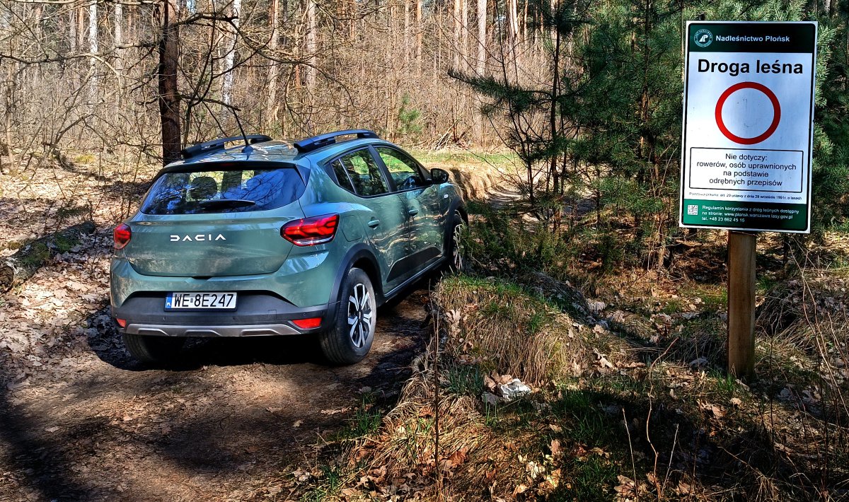 Wjazd autem do lasu, nad rzekę, jezioro, na plażę, łąkę – przepisy - Magazyn auto