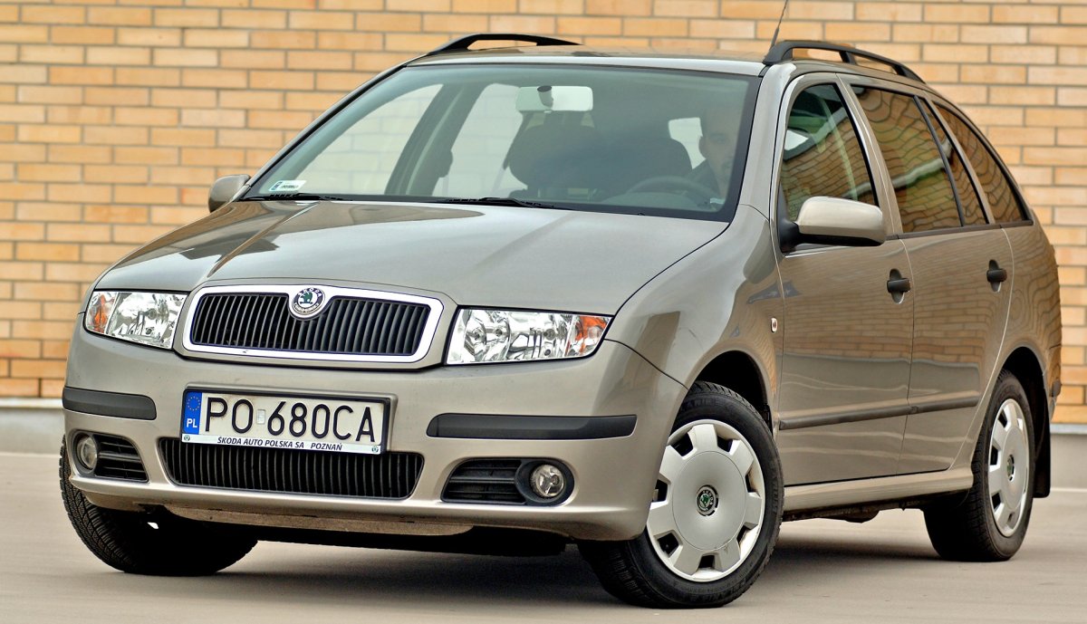 Używane mikrovany, małe kombi i kombivany – 17 modeli - Magazyn auto